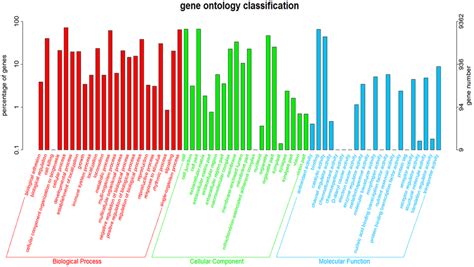 Go Classification Map The X Axis Indicates The Next Level Go Term Of
