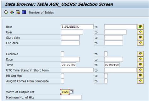 TIME SAP SECURITY Find Out Manually Assigned T Codes Mulitiple T Codes To Roles Users