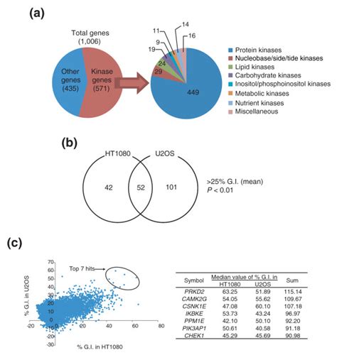 Lentiviral Rnai Library Screen Of Human Kinases Identifies Regulators