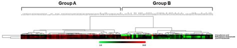 Hierarchical Clustering Analysis Of The 3 Selected Serum Metabolites Of