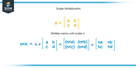 Scalar Matrix Explanation And Examples