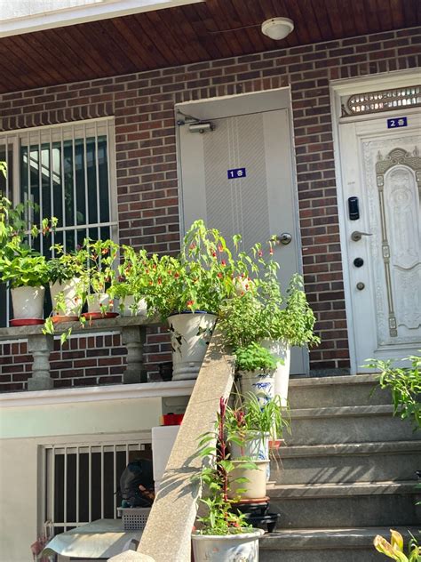 분리형 원룸 500만원 40만원 연희104고지 버스정류소 바로옆 당근부동산