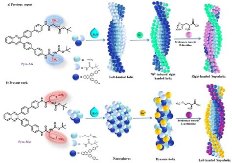 Representation Of Achiralchiral Guest Induced Co Assembly Of A Download Scientific Diagram