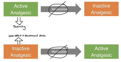 Kinetics Final Exam Flashcards Quizlet