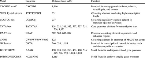 Putative Cis Elements Identified In The Placlfy Promoter Sequence