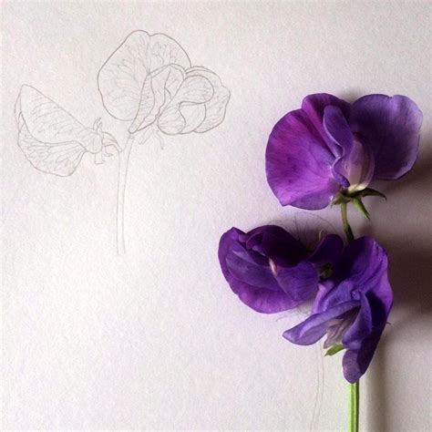 Floral Watercolour Painting A Simple Guide For Beginners