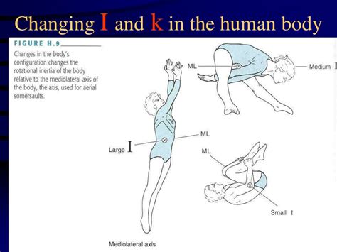 PPT Angular Kinetics Review PowerPoint Presentation Free Download ID