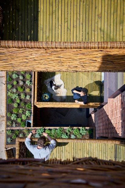 Slender Apartment Block By Amin Taha Architects Has Timber Structure
