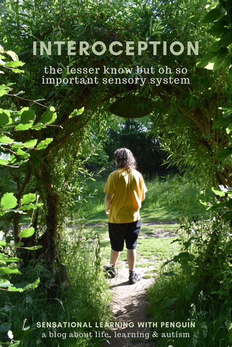 Interoception The Lesser Known But Oh So Important Sensory System