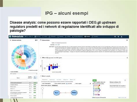 Sample Assay Technologies Cosa Ingenuity Pathway Analysis Ipa