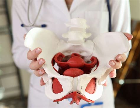 5 Best Pregnancy Sciatica Stretches Your Ultimate Guide To Relief