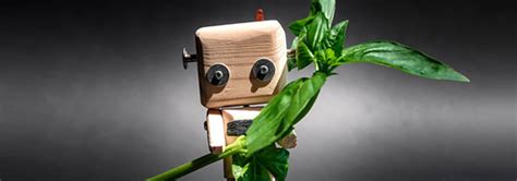 Six Capitals Of Value Creation For Sustainability