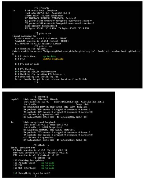 Pihole Up With No Network Showing Update Available For Ftl Help Pi