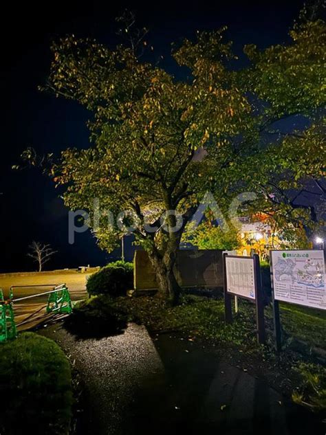 夜の散歩 No 27974496｜写真素材なら「写真ac」無料（フリー）ダウンロードok