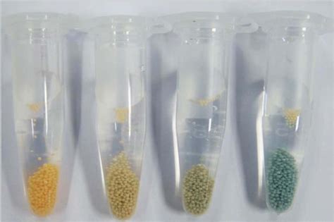 Figure 1 From Naked Eye And Colorimetric Detection Of Arsenic Iii Using Difluoroboron Curcumin