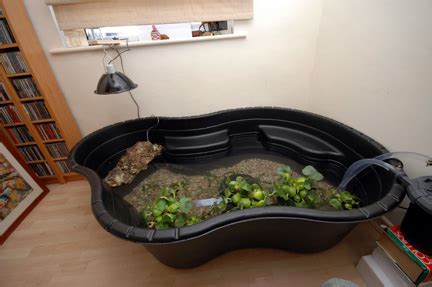 Surface Mount Ponds For Slider And Other Aquatic Turtles