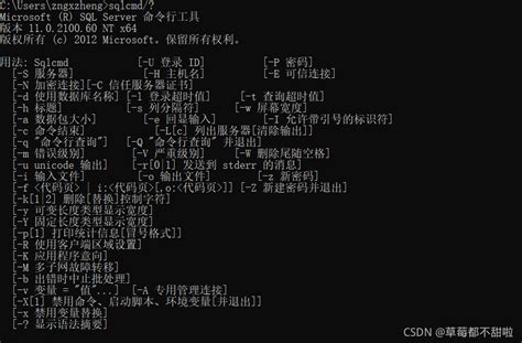 Bat文件实现对sql Server数据库的查询bat文件执行 Sql Server查询 Csdn博客