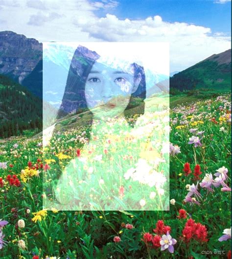 【python opencv】图像权重加法函数：cv2 addweighted 详解 toy模板网