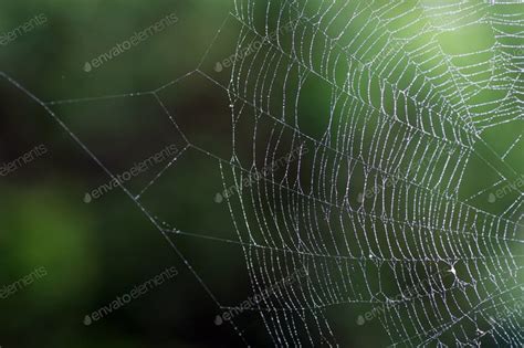 How To Draw A Spider Web Step By Step Envato Tuts