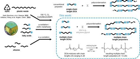 Degradable And Recyclable Polyesters From Multiple Chain Length Bio