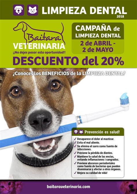 Arquitectura Heredar Categoría Campaña Limpieza Bucal Perros Barcelona Sur Oeste Banquete Stevenson