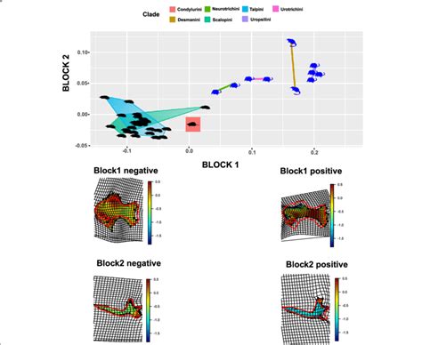 Plot Of Partial Least Squares Pls Scores From Block1 Versus Block2