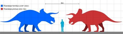 Triceratops Encyclopedia Mdpi