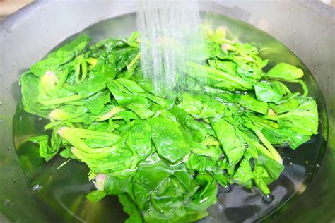 시금치나물 시금치무침