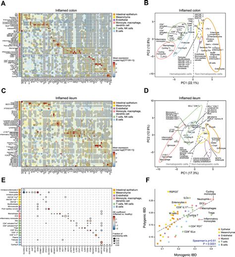 Monogenic Ibd Gene Expression In Inflamed Ileum And Colon A D Download Scientific Diagram