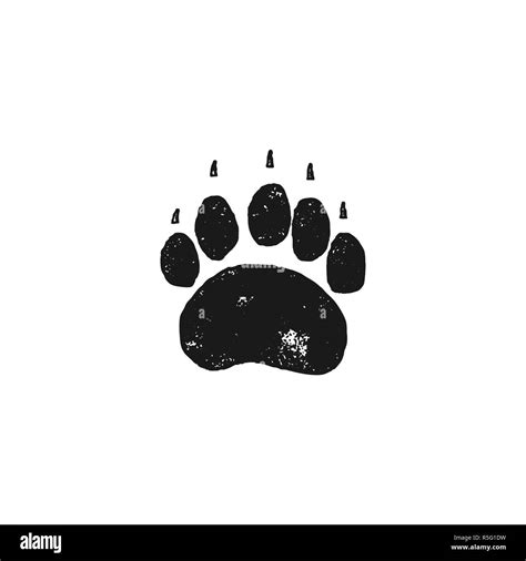 Real Grizzly Bear Paw Print