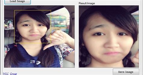 C Crop Image Rectangle Shape Using Graphics WLC Programming Knowledge