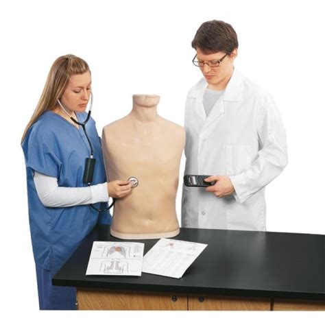 erler zimmer auscultation simulator uk