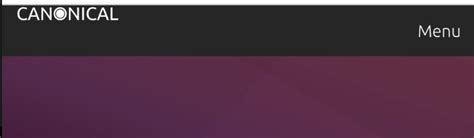 The Canonical Logo Is Hard Up Against The Top Instead Of Centered