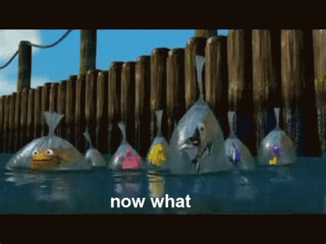 So What Now 