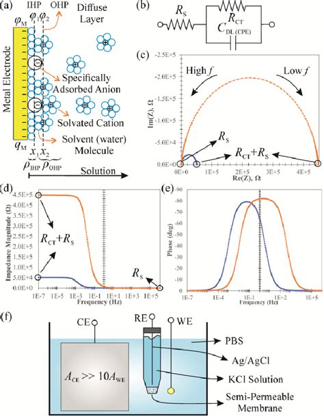 A The Double Layer Formed At The Interface Between A Metal Electrode Download Scientific