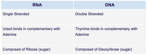Igcse Biology Inheritance Full Flashcards Quizlet