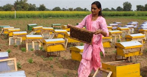 Livelihood And Entrepreneurial Opportunities Through Bee Keeping CSR Mandate