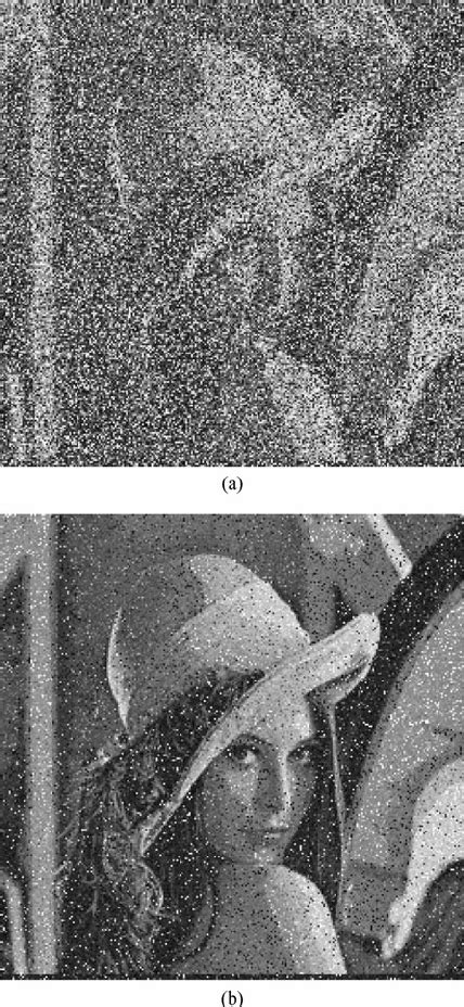 noise attack experiment a noise attack image b decryption