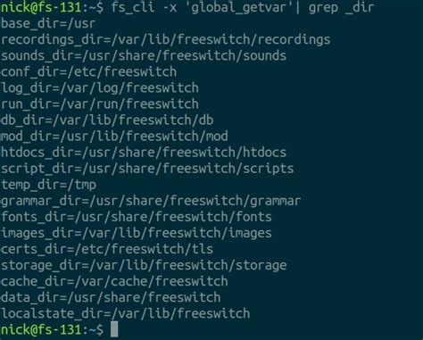 Get All The FreeSWITCH Folder Paths Nick Vs Networking