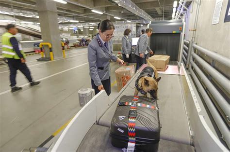 ГААЛЬ ТАГНУУЛ ЦАГДААГИЙН БАЙГУУЛЛАГА ХАМТАРСАН ТУСГАЙ АЖИЛЛАГАА ХЭРЭГЖҮҮЛЖ БАЙНА E Mn