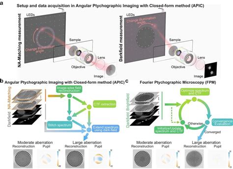 New Computational Microscopy Technique Provides More Direct Route To