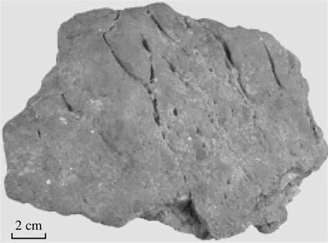 Near Parallel Furrows At The Surface Of The Fe Mn Crust Sample So Download Scientific Diagram