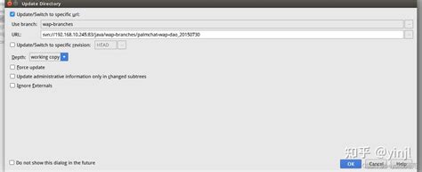 Intellij Idea上svn分支管理和使用 知乎