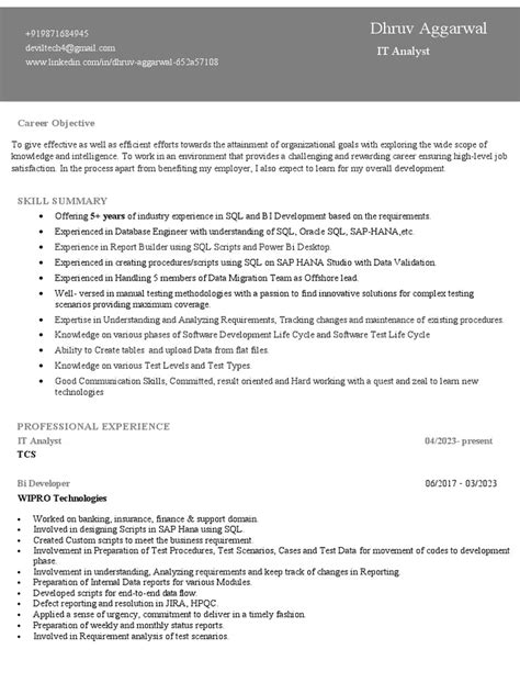 dhruv aggarwal bi developer pdf