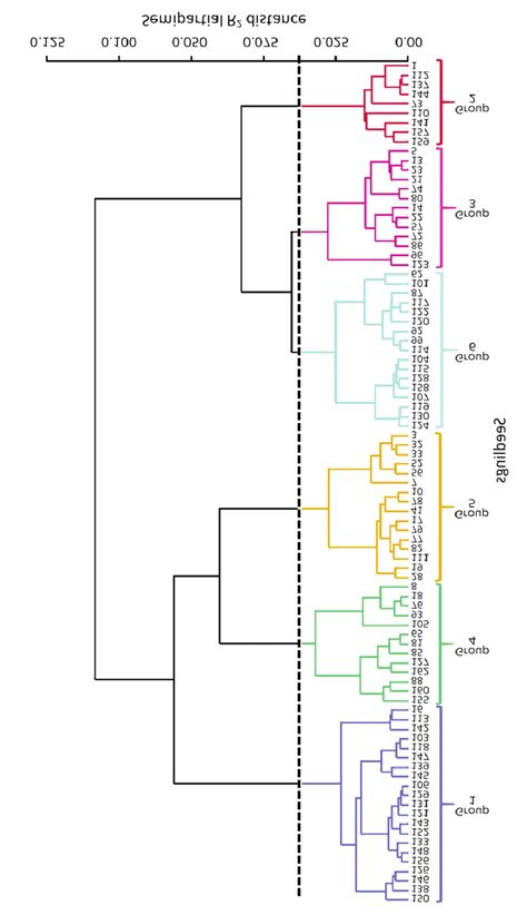 Cluster By The Ward Method Into Six Groups Formed By The Anatomical Download Scientific