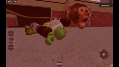 Barking Monkey Raysmod Nextbots Youtube