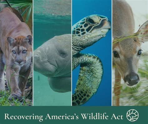 Press Releases • Florida Wildlife Federation