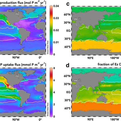 A Vertically Integrated Interior Ocean Dissolved Organic Phosphorus Download Scientific