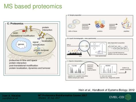 Introduction To The Proteomics Bioinformatics Course 2017