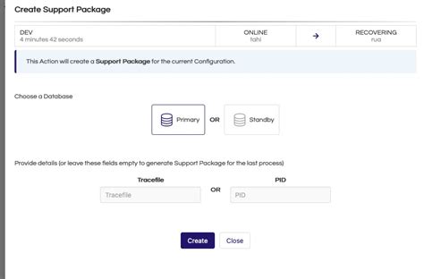 Miscellaneous Oracle Functions Dbvisit Support